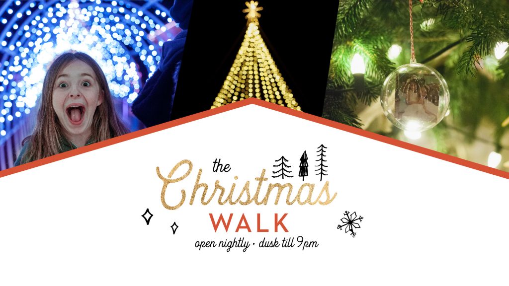 Christmas Walk - N E W L I F E